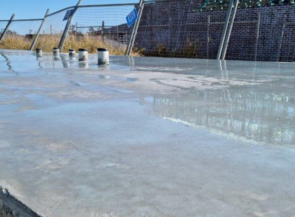 Gallery - Meridian Pest Management